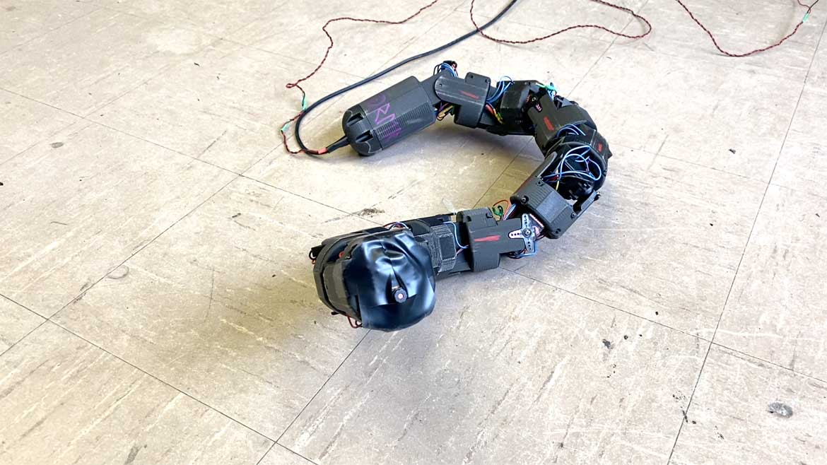 Meet the Snake Robot Designed by Wilkes Students That Might Change How ...