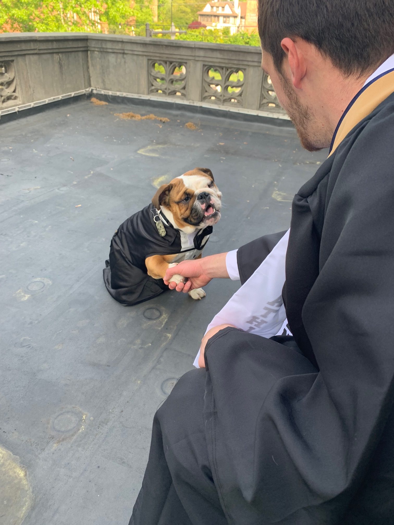 Preparations for Wilkes University’s 76th Commencement are Underway ...