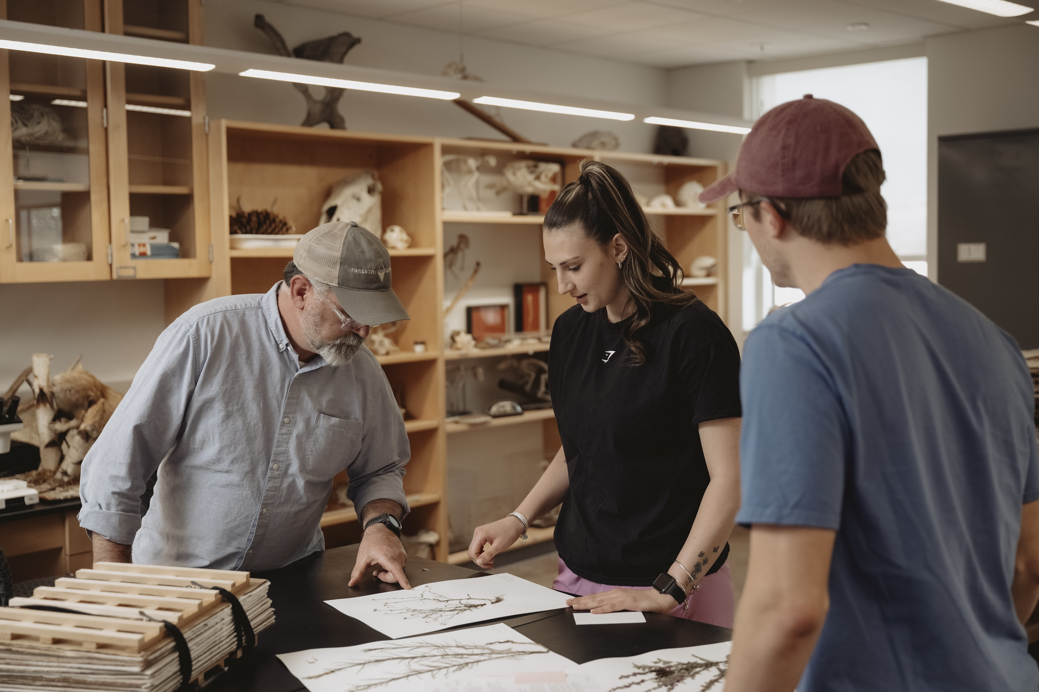 Wilkes Receives DCNR Grant to Study Forest Management and Bird ...